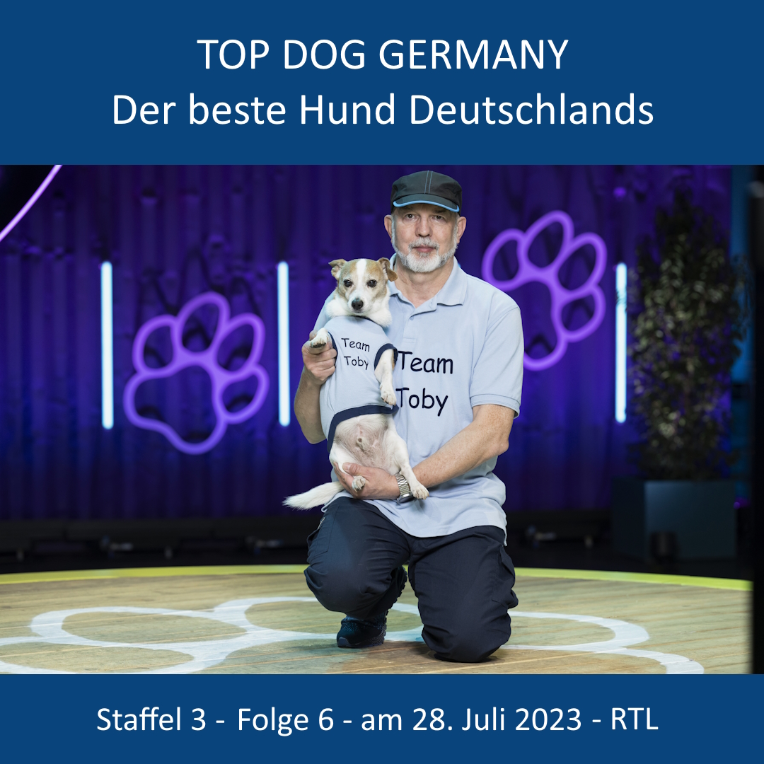 Toby, das Erdmännchen